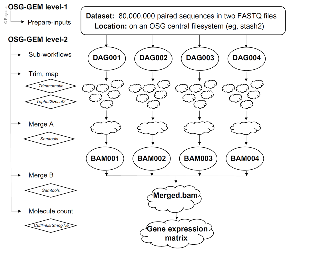 Mining Complex Gene Expression Across the Tree of Life – Pegasus WMS
