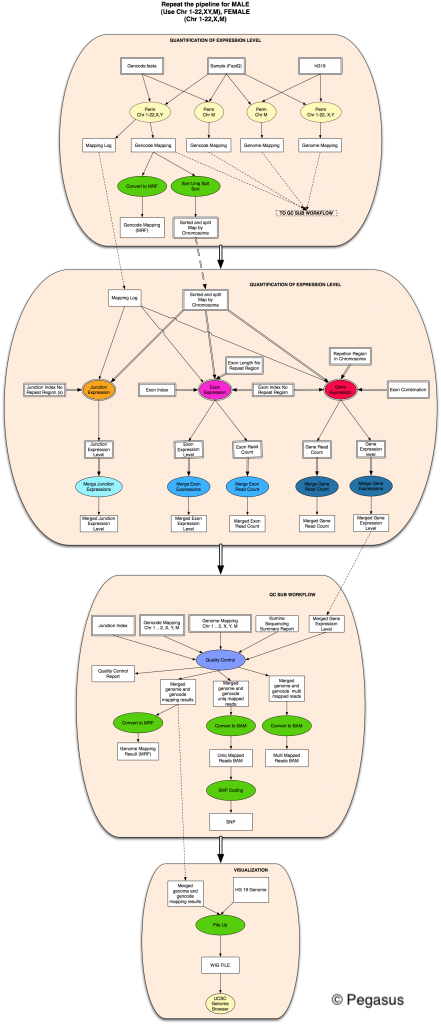 Workflow gallery – Pegasus WMS